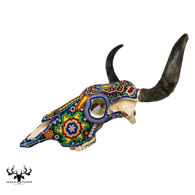 Cráneo Toro MC 1 - Arte Huichol, Maxa Turo