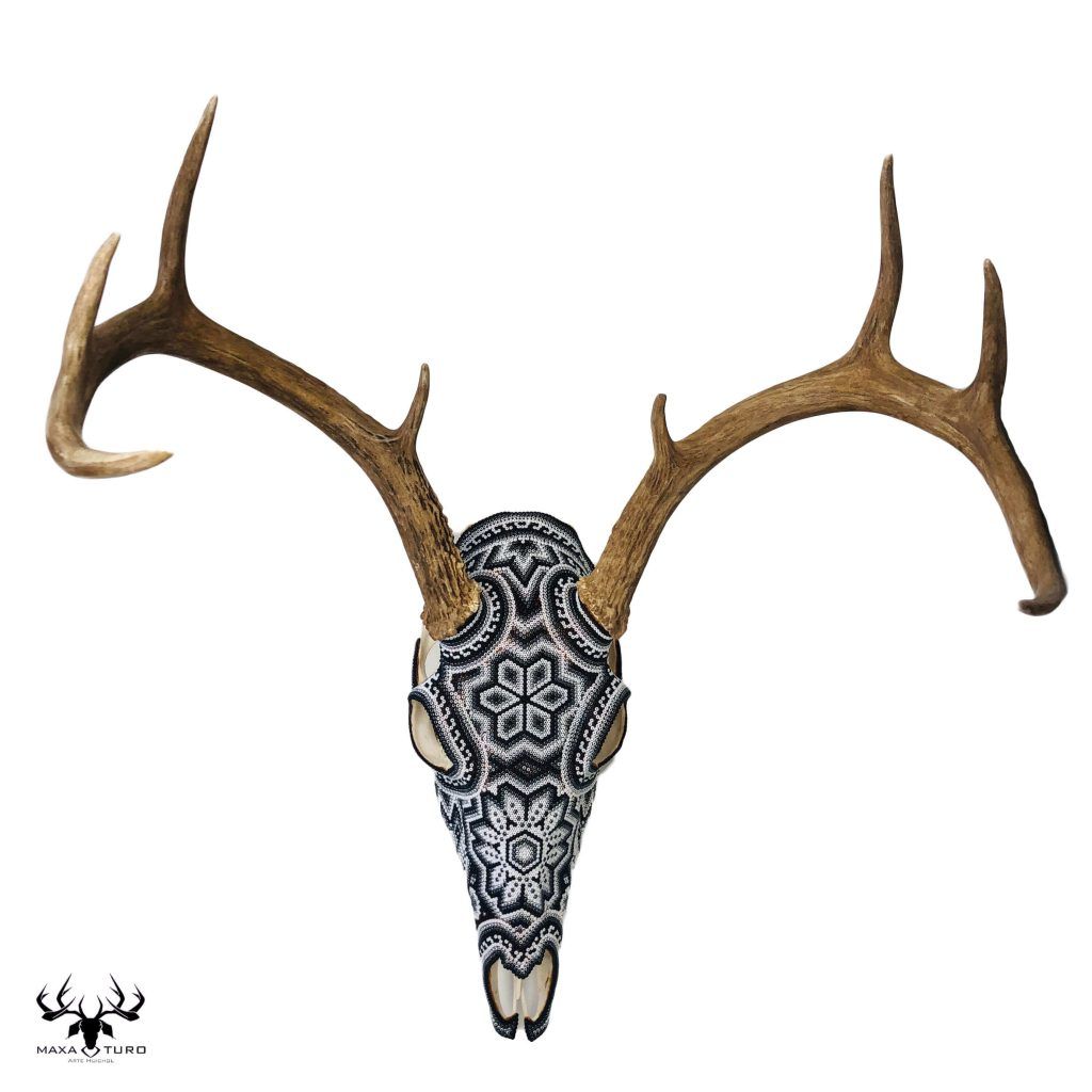 Cráneo Venado B/P - Arte Huichol, Maxa Turo